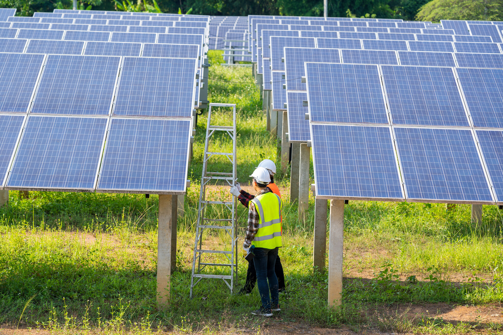 Jacksonville council considers NewCarbon community solar project