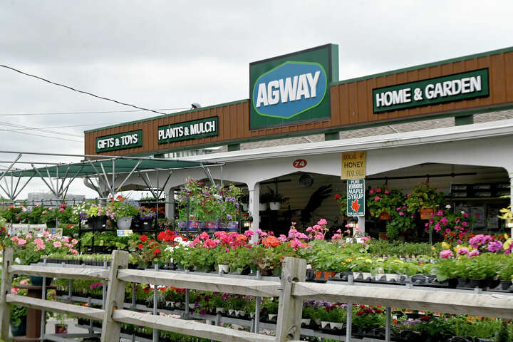 How Agriventures Agway and other independents adapt to changes in CT