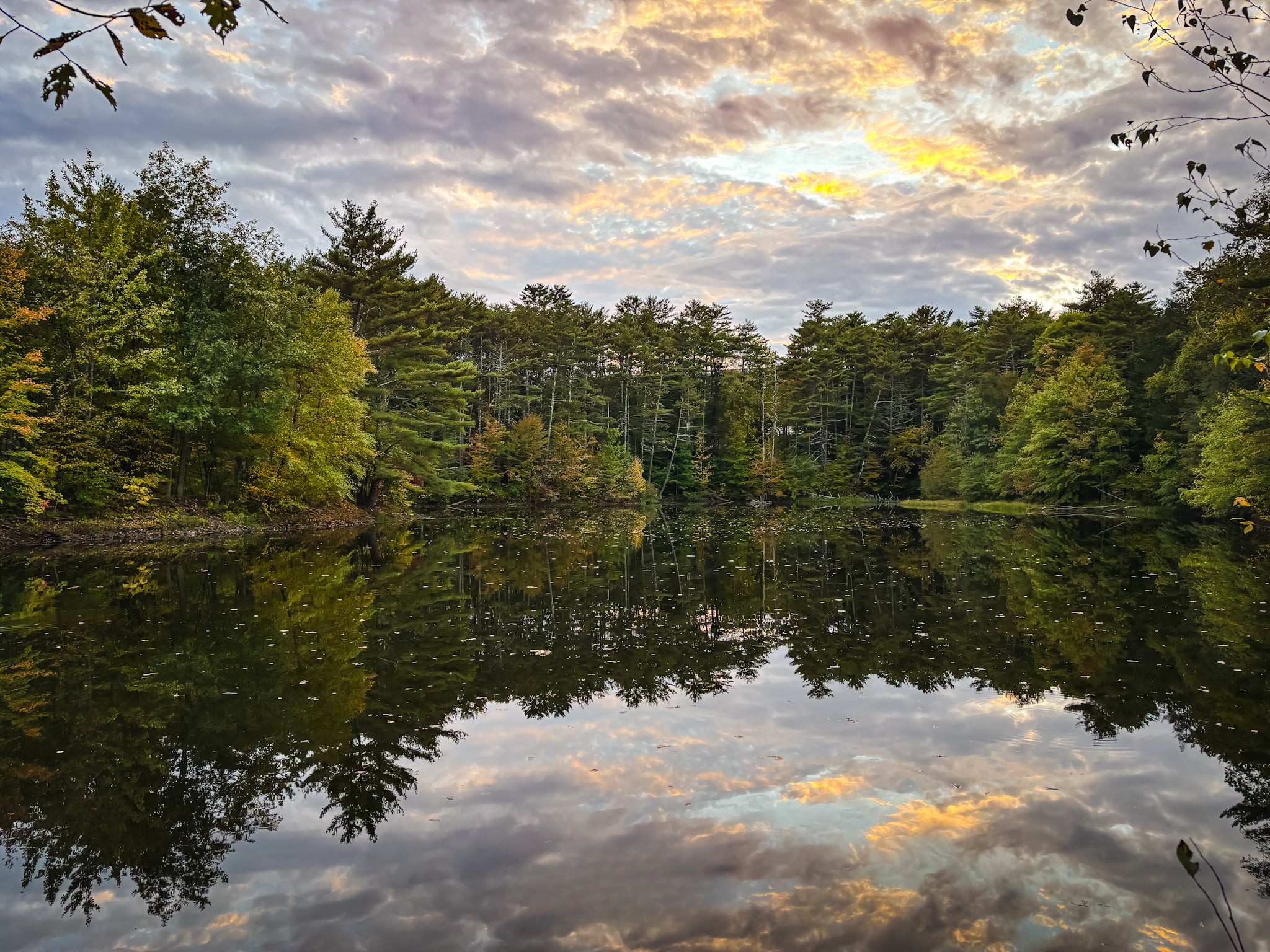 6-foot, 220-pound Atlantic sturgeon caught in Hudson River