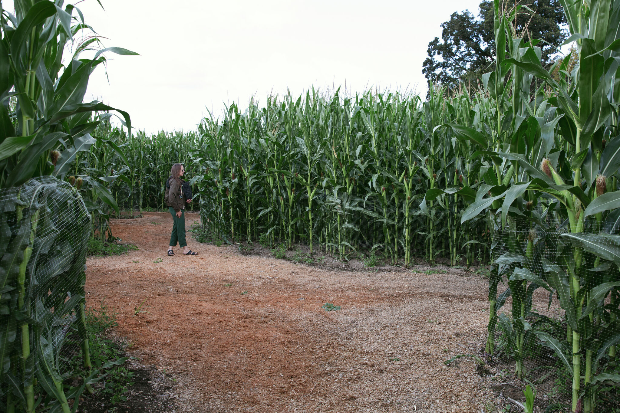Wedding insurance state farm 60 photos - Astyledwedding.com