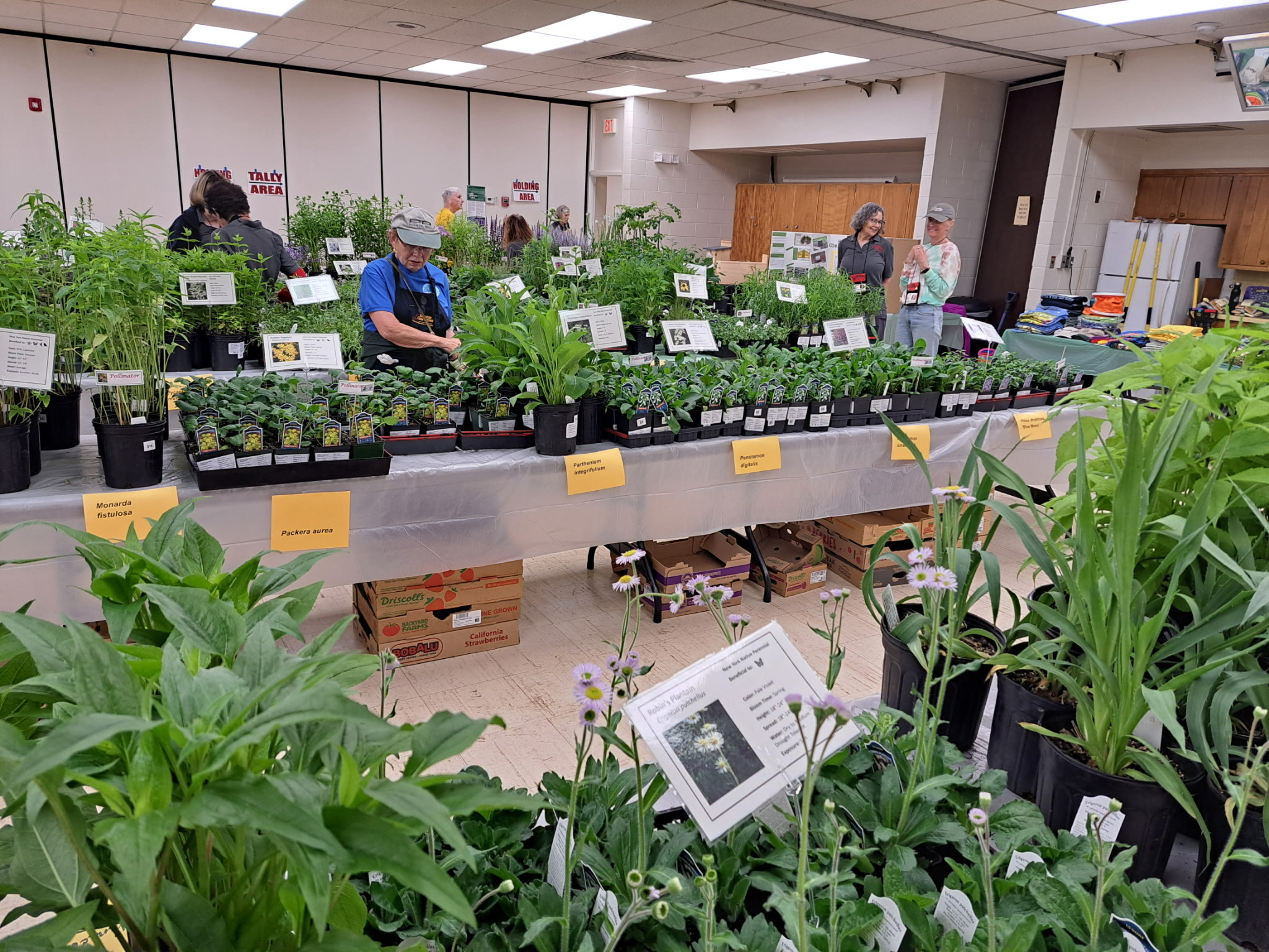 '1960s' look in Wadsworth Lab proposal derided