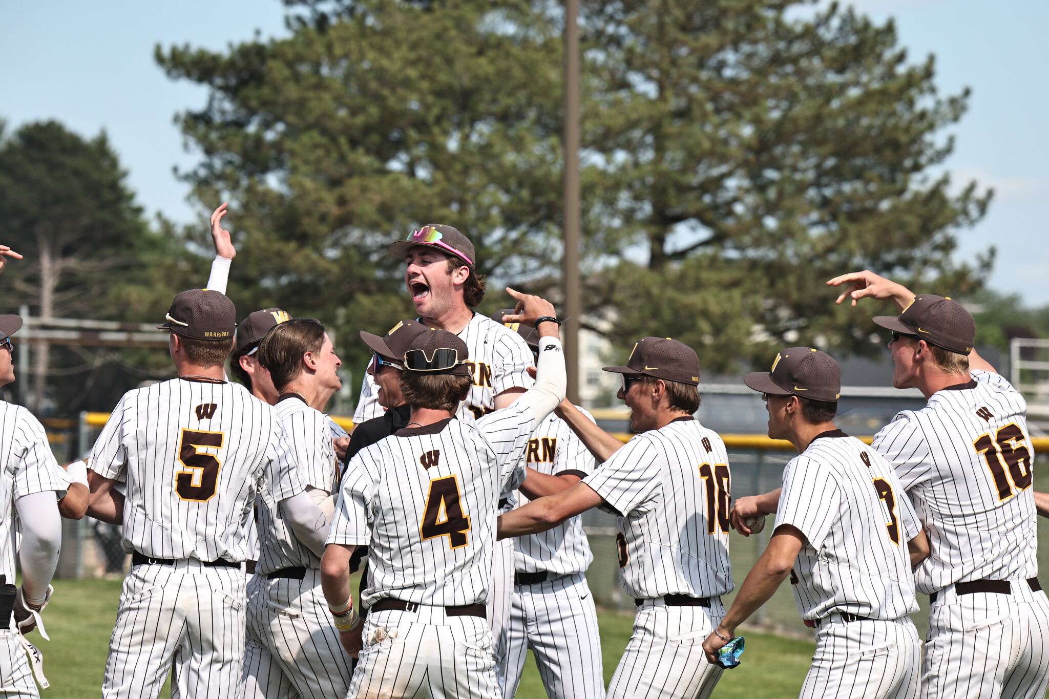 Warriors win baseball district over Chemics