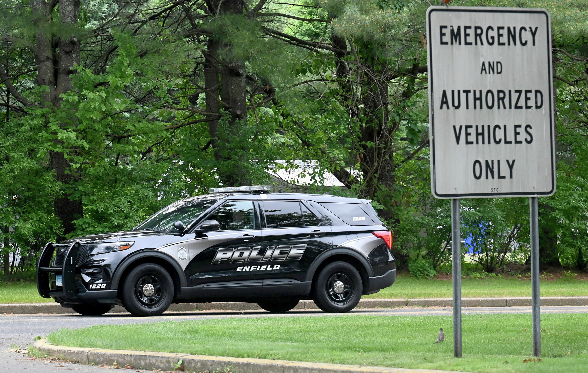 Enfield police ID woman killed after being hit by car on Route 190