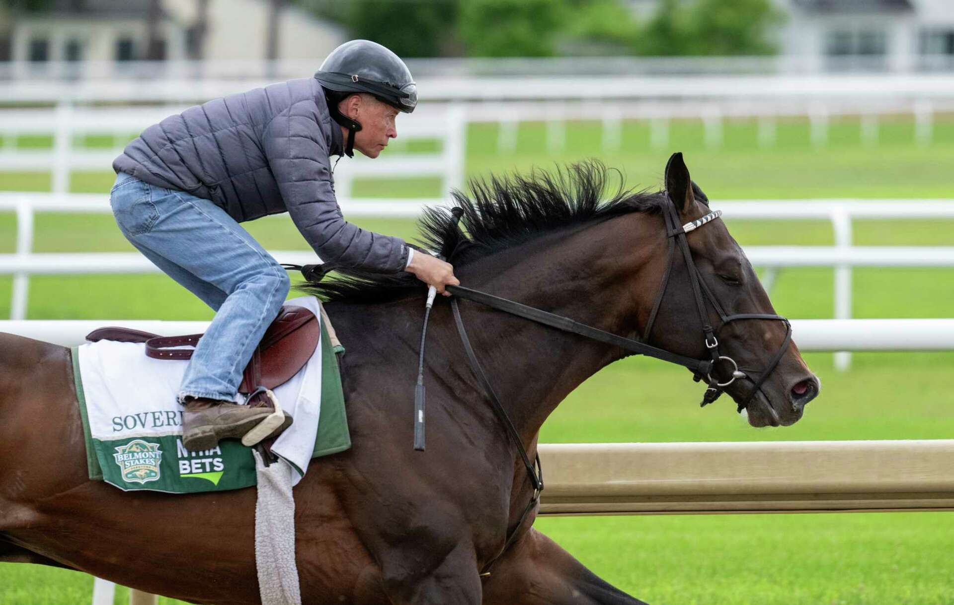 Belmont Stakes features rematch between Journalism, Sovereignty