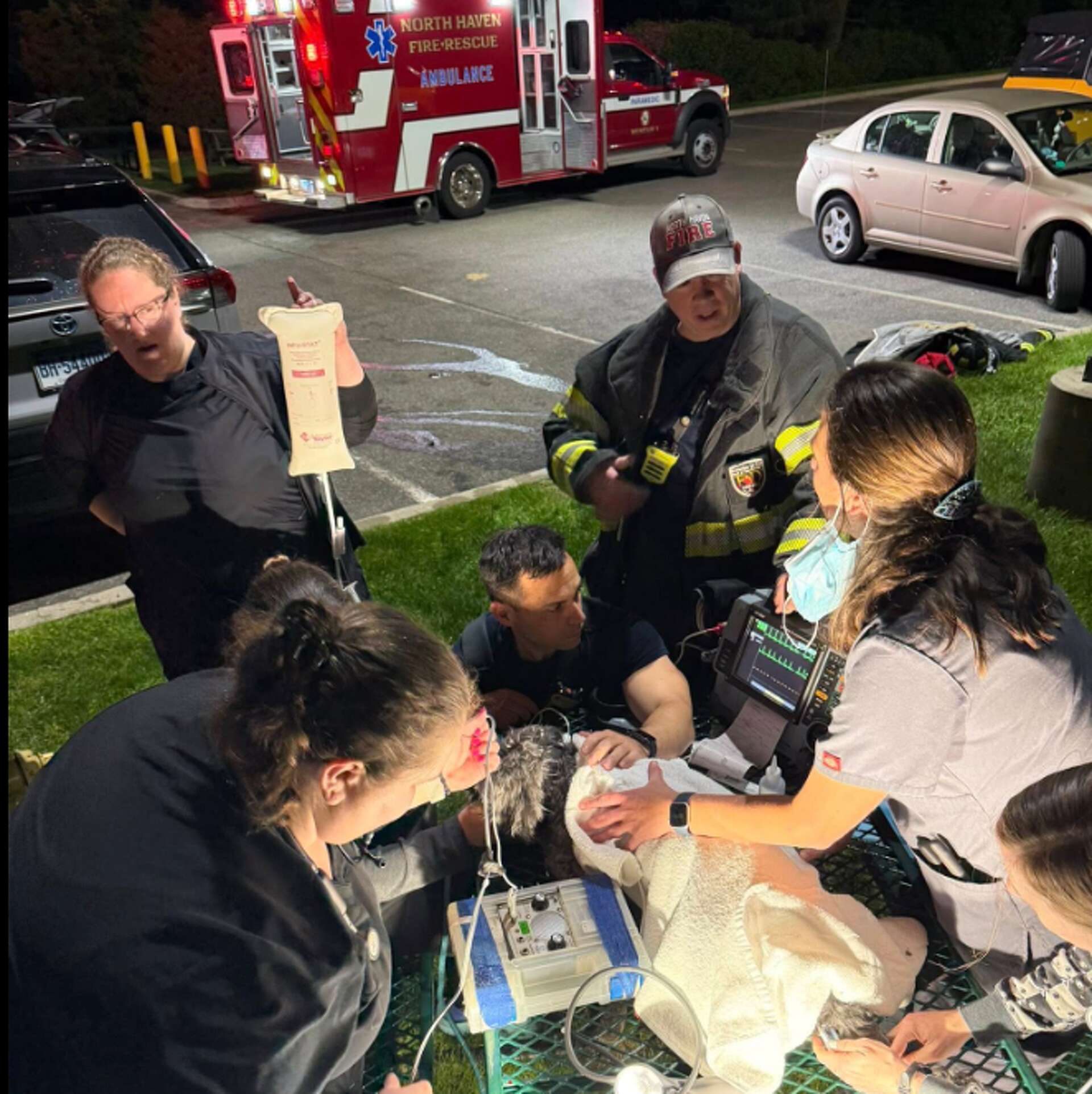 Pets saved from North Haven animal hospital fire, officials say