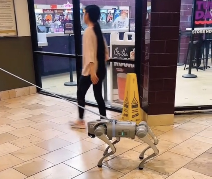 Kick streamer pays woman who can't swim to jump in Texas lake
