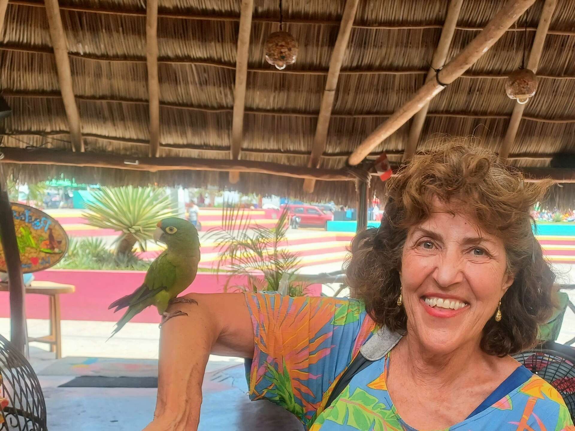 Solo travel rises as more Americans choose to vacation alone