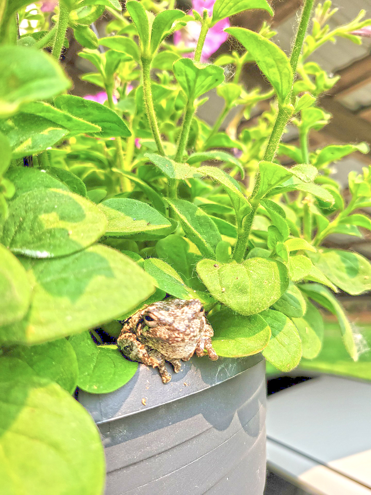 Reader photo: Chillin'