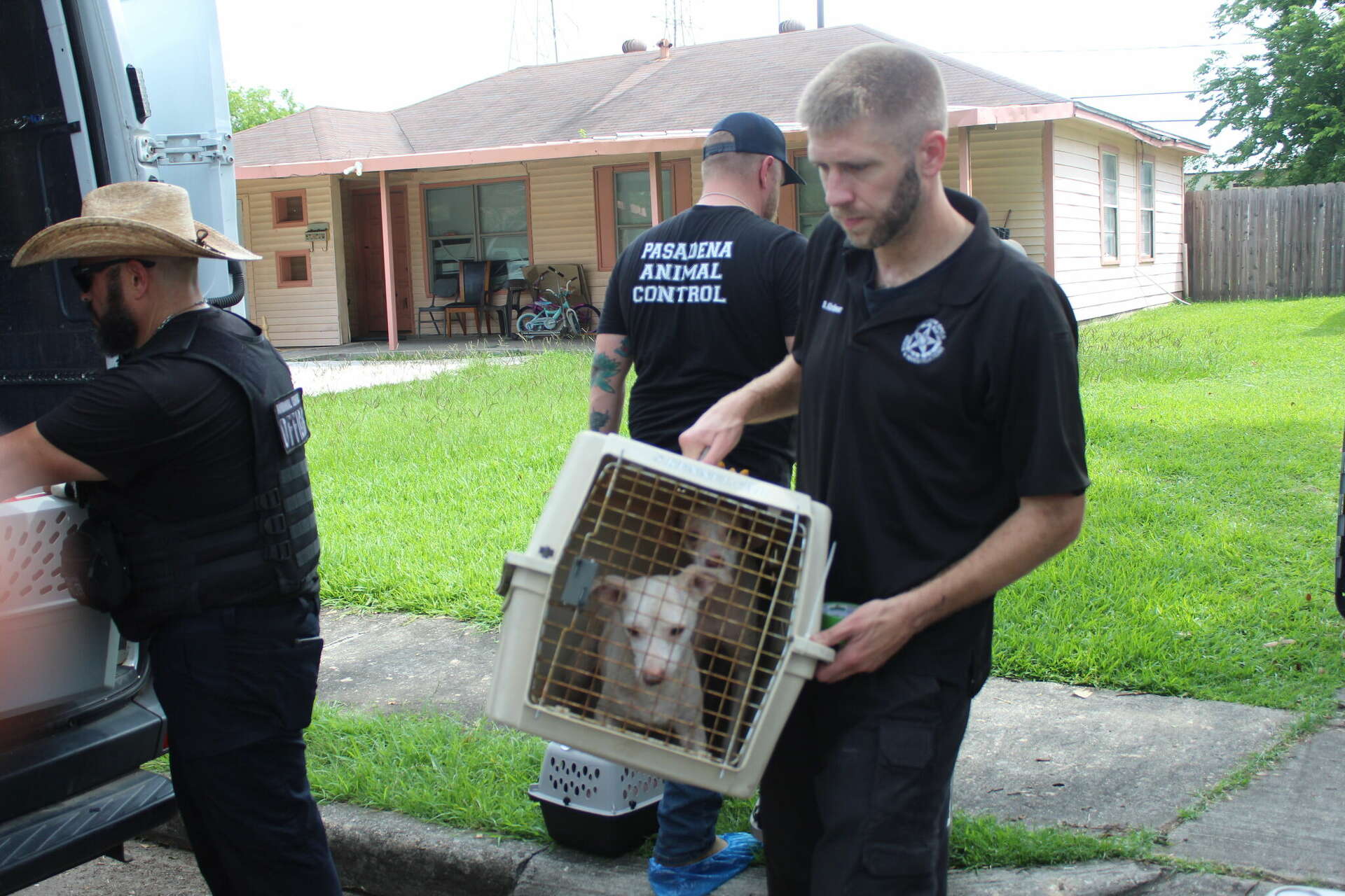 Houston SPCA rescues 70 dogs from unsafe conditions at Pasadena home