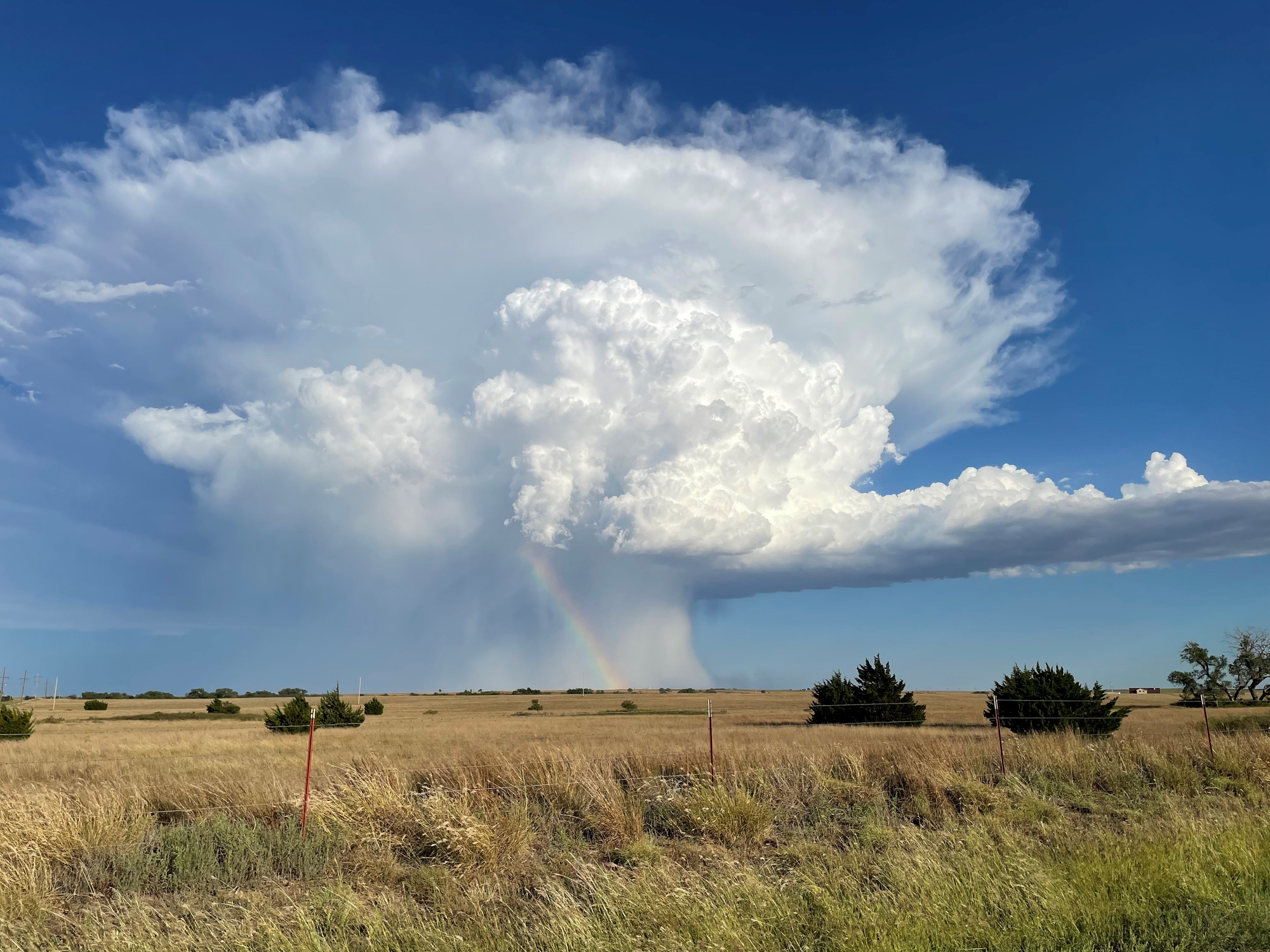 Actor Royce Applegate Found Dead