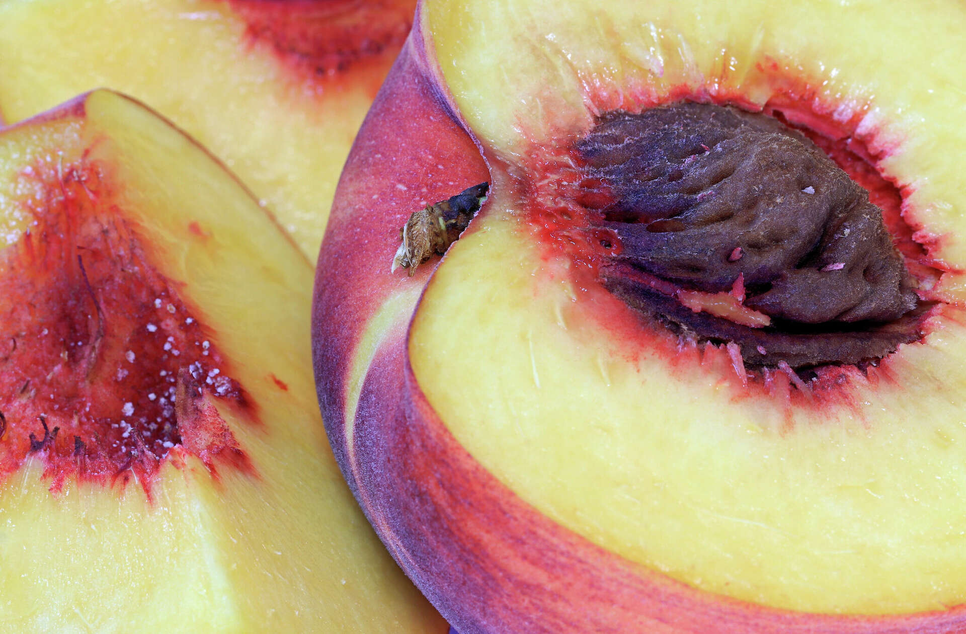 How to grow peaches in San Antonio