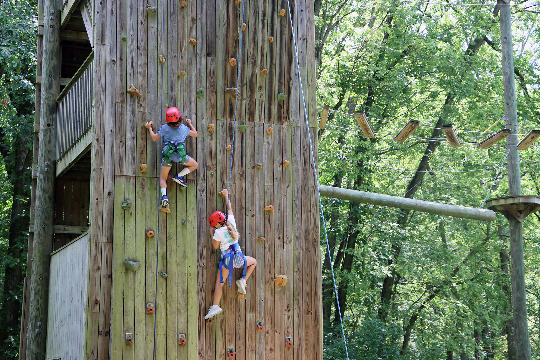 Winning numbers drawn in Thursday’s South Carolina Palmetto Cash 5