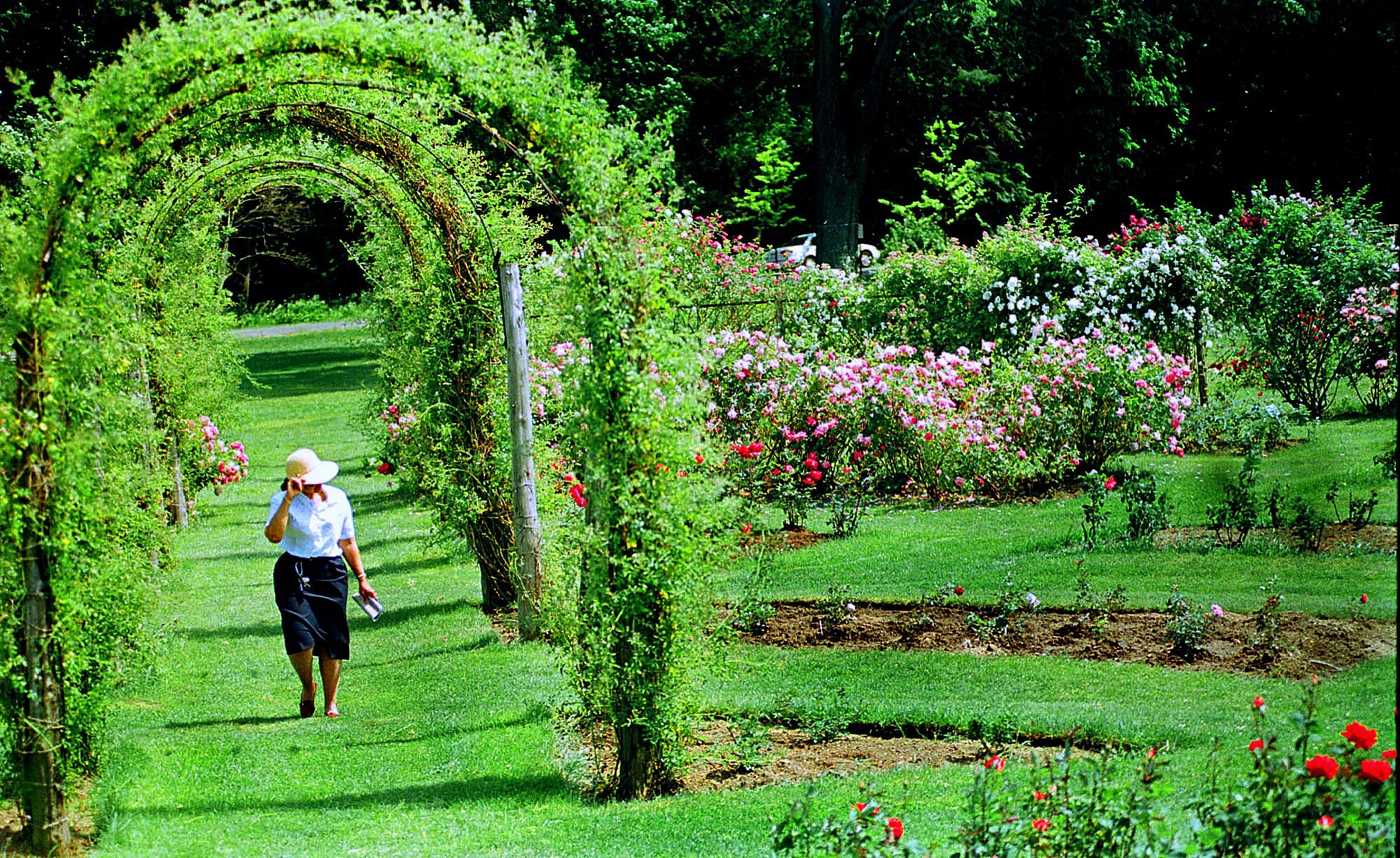 AP PHOTOS: Millions of Muslims embark on the annual Hajj pilgrimage to ...