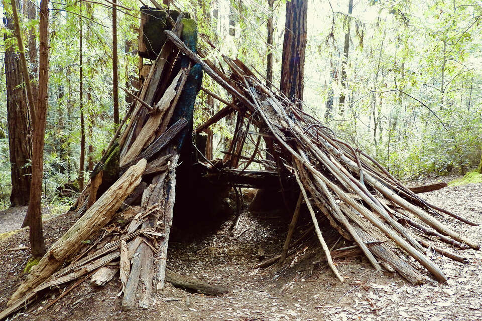 A 'mad Russian' hid for decades under California's redwoods