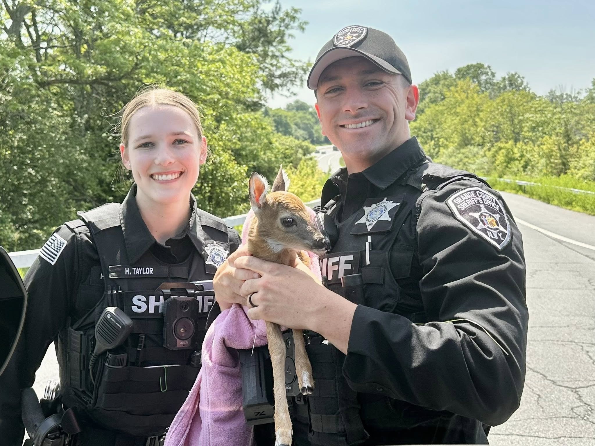 Kingston chiropractor John Boyle charged with child pornography