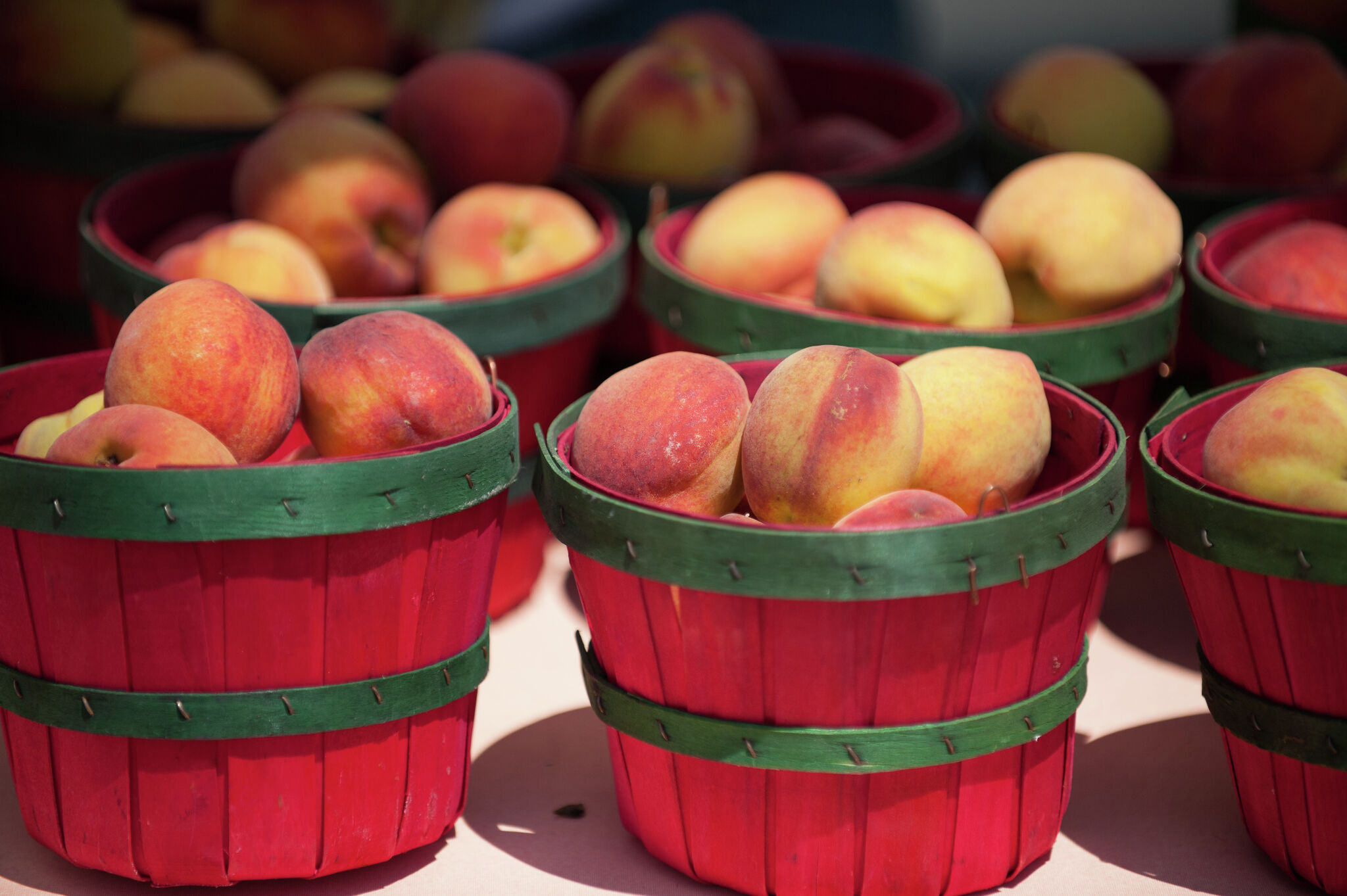 San Antonio's Suko Japanese Cuisine debuts omakase menu