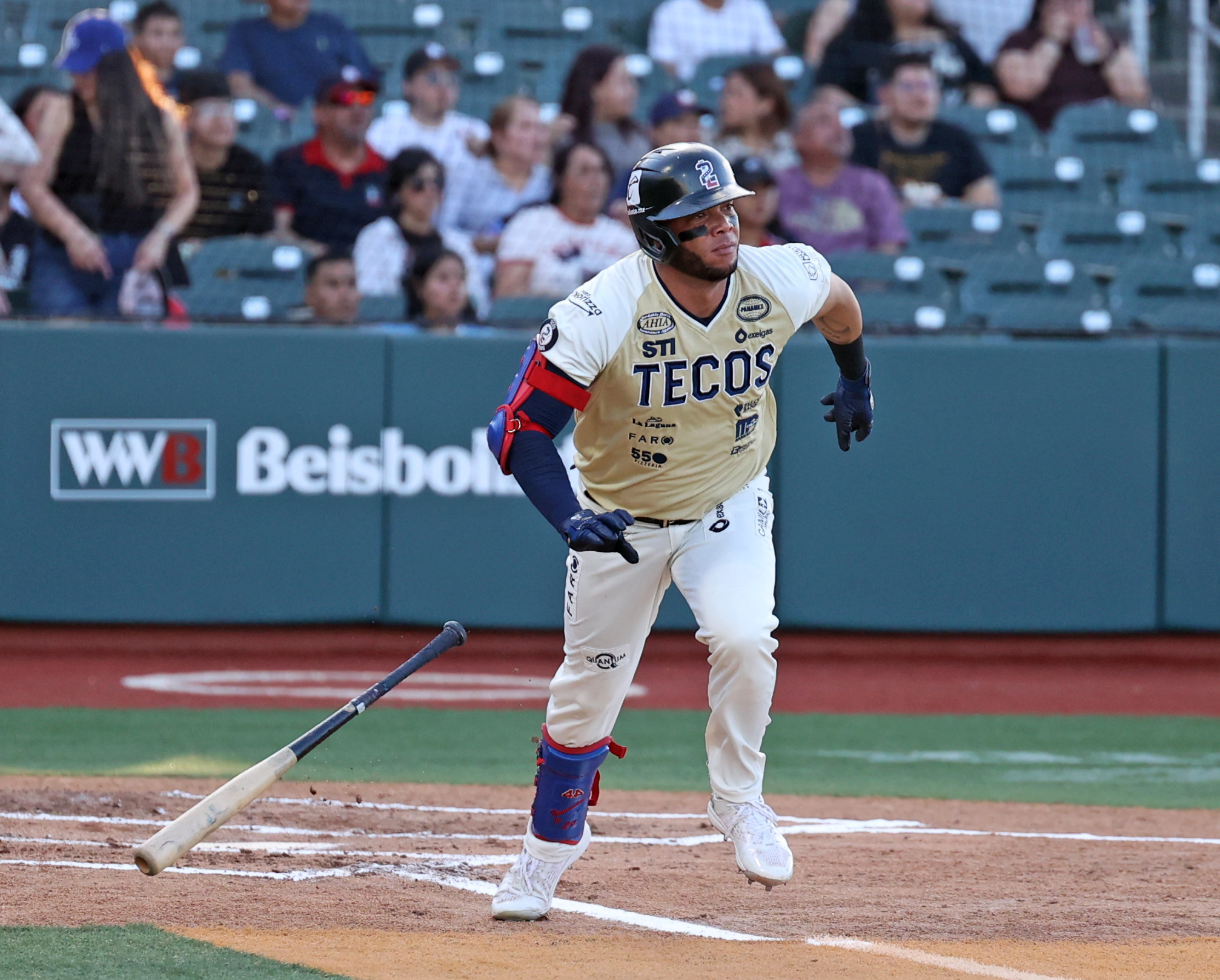 Tecos players eye Mexican Baseball League All-Star nods
