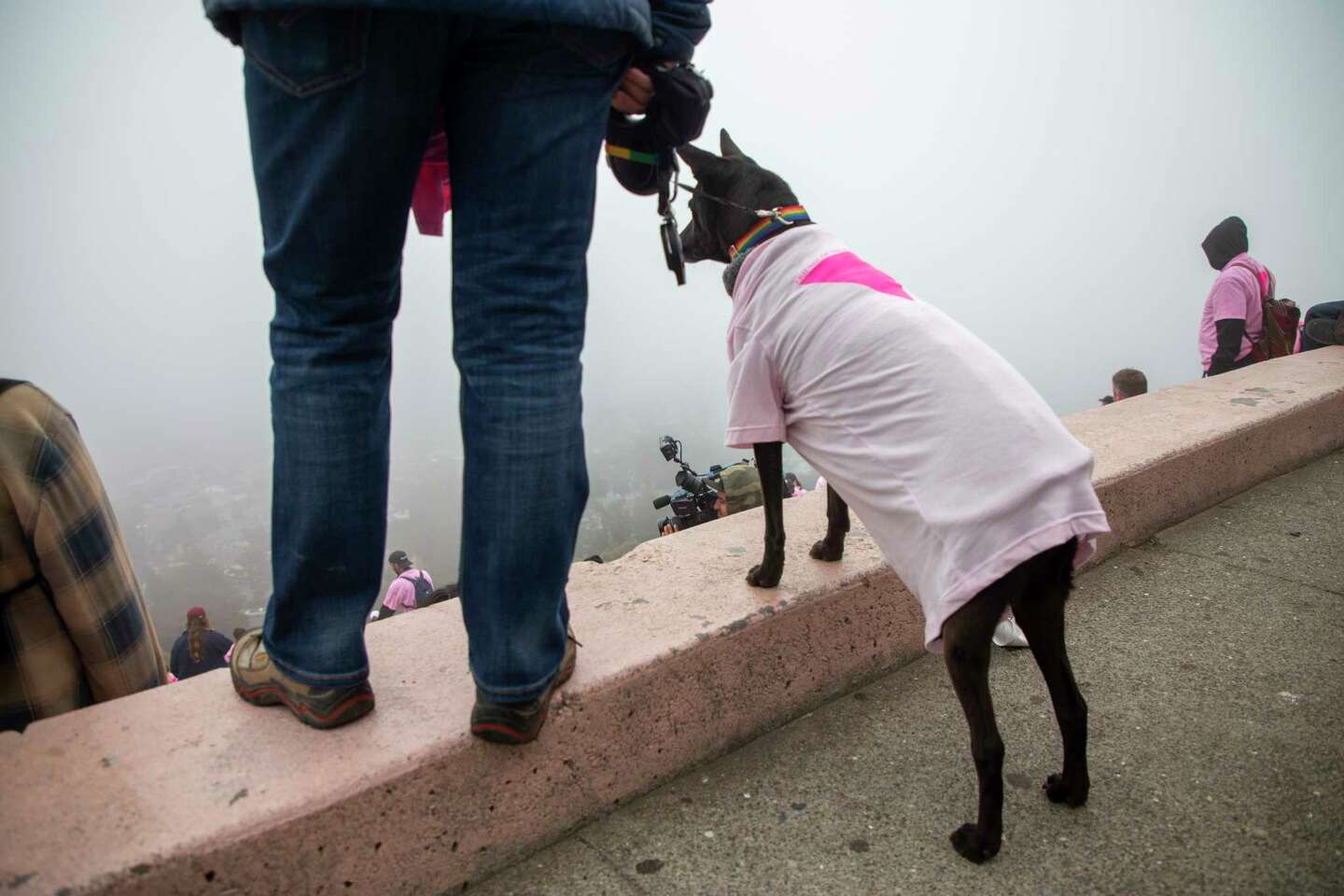 Pink Triangle towers over SF as beacon of hope in face of intolerance