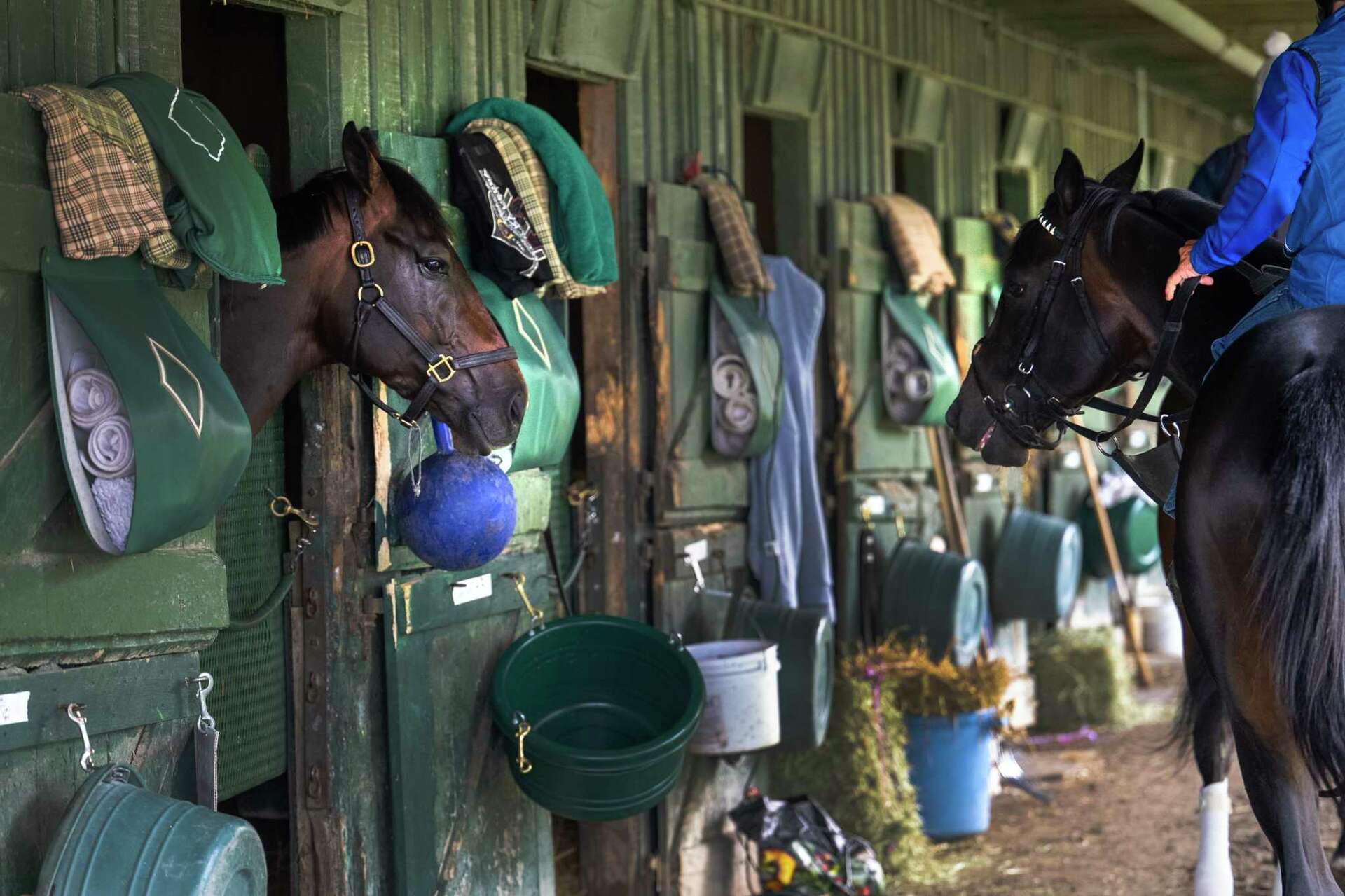Sovereignty trainer Bill Mott keeps eyes set on the Travers Stakes