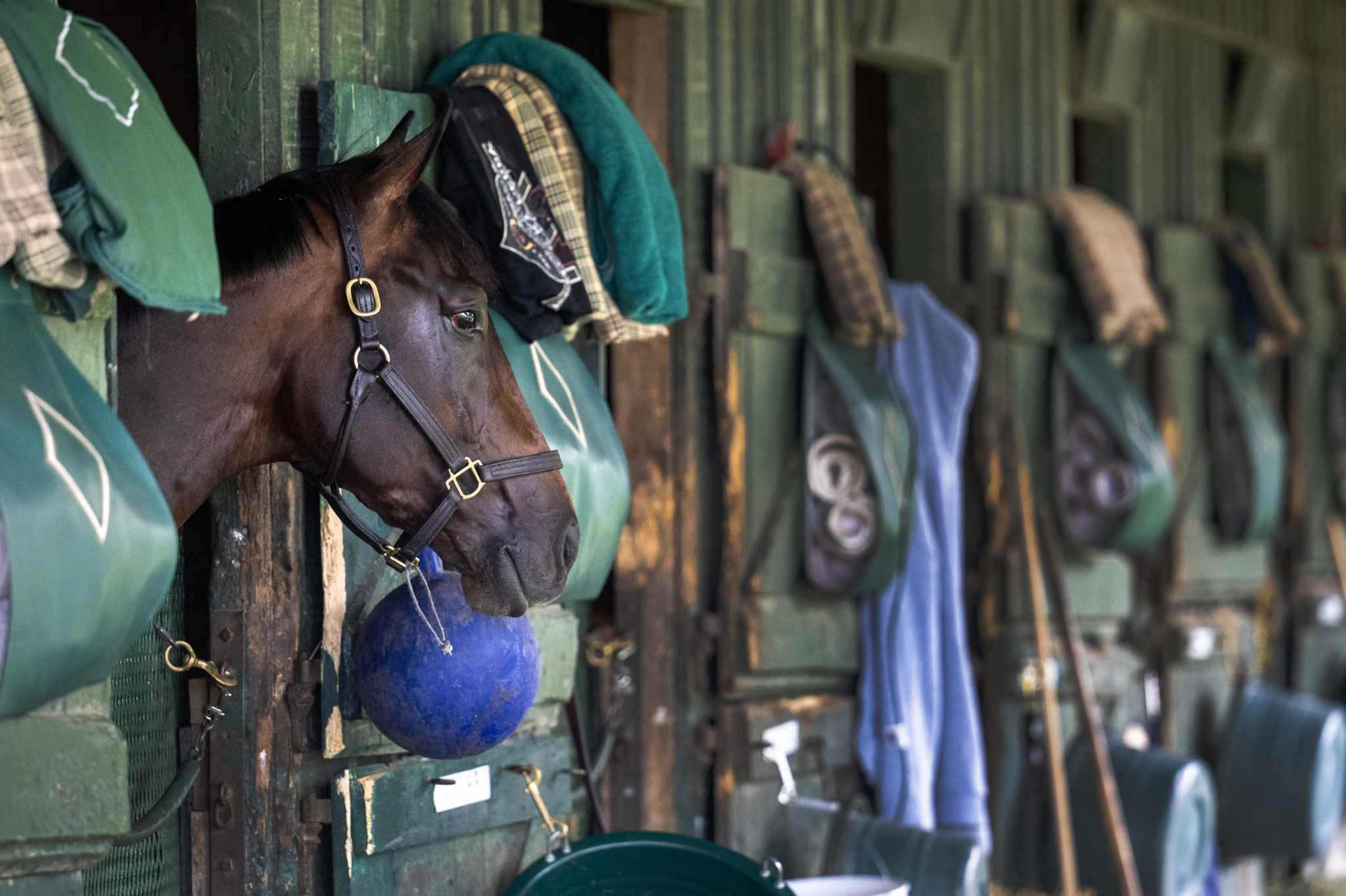 Sovereignty trainer Bill Mott keeps eyes set on the Travers Stakes