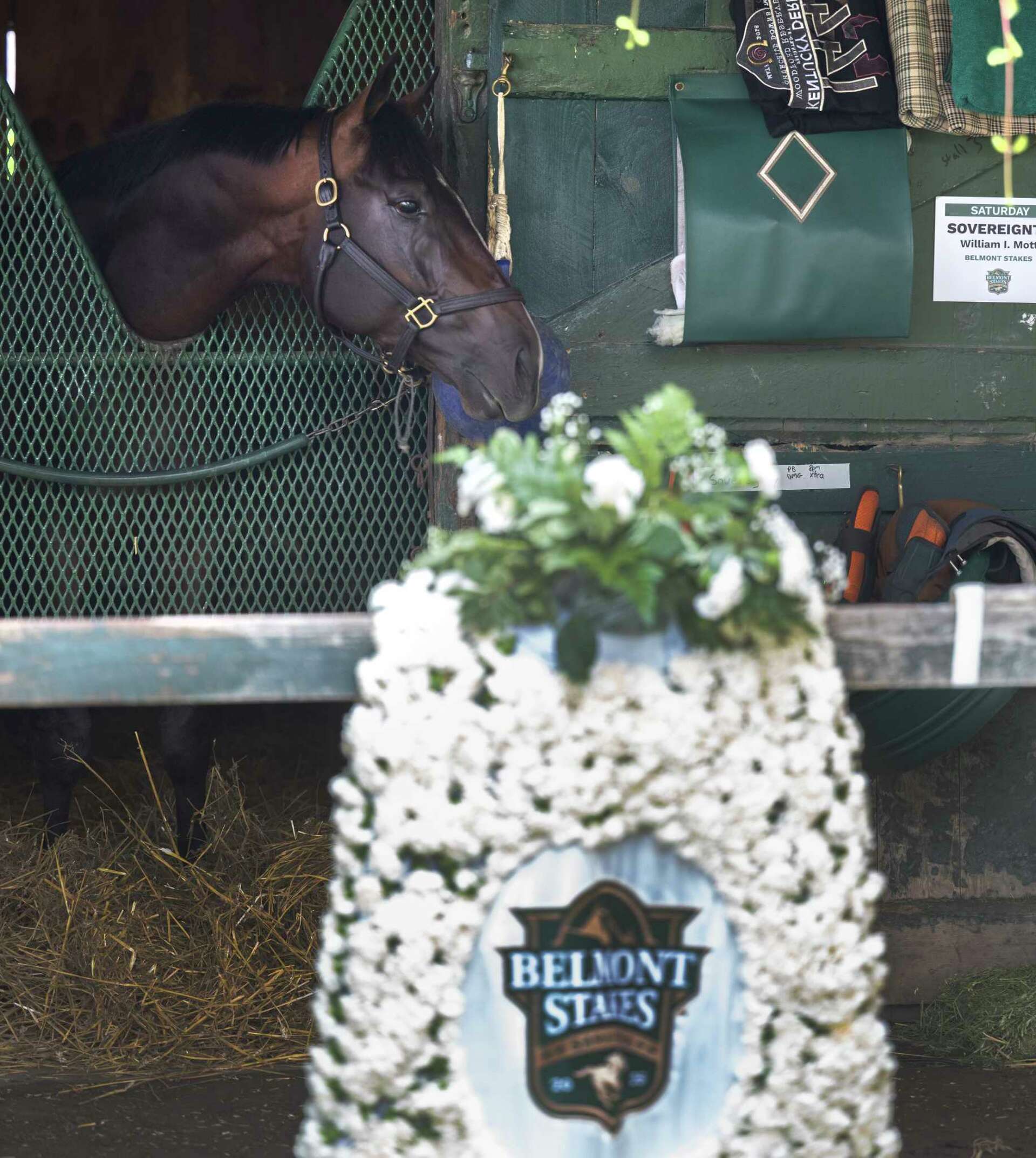 Sovereignty trainer Bill Mott keeps eyes set on the Travers Stakes