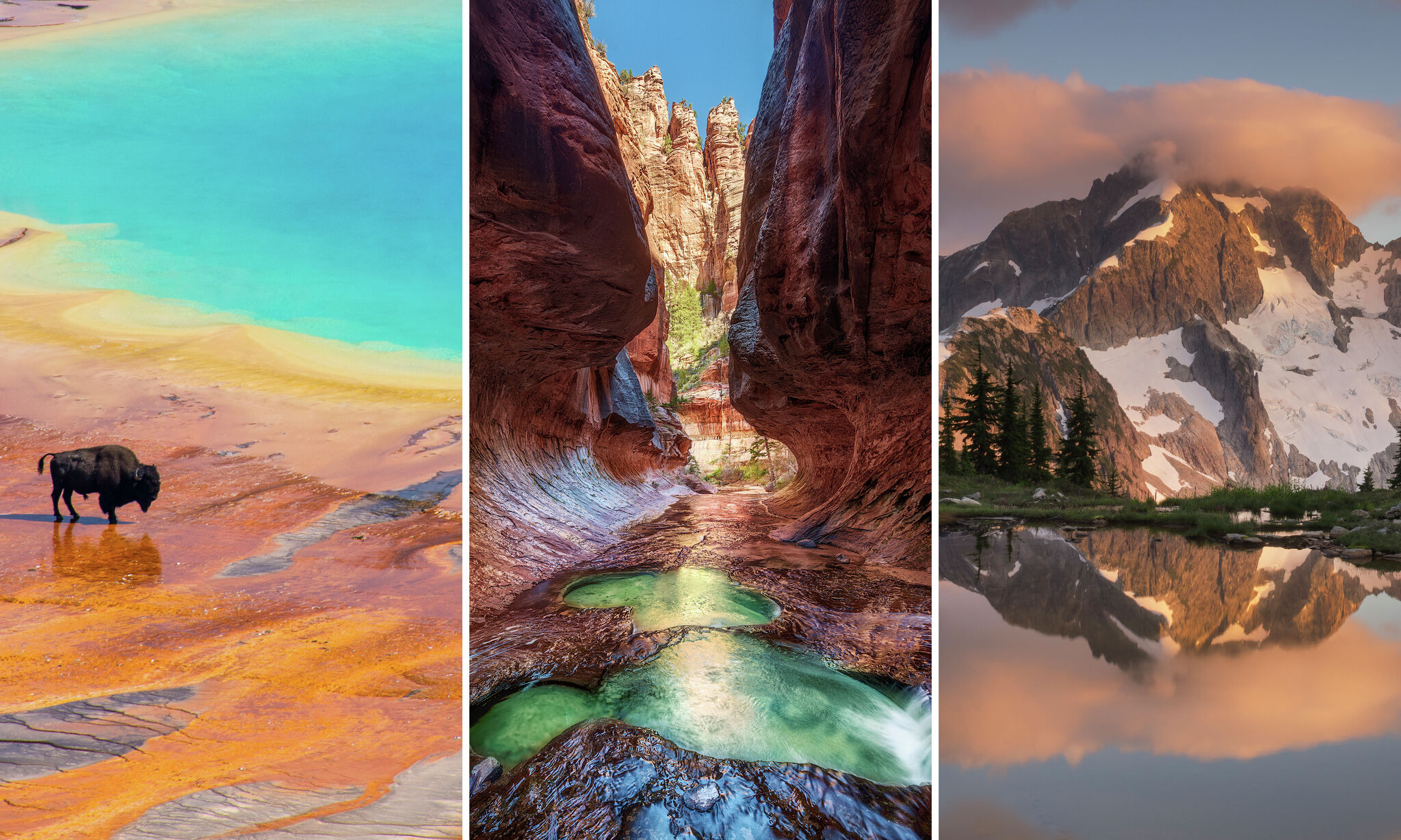 National parks expansion for Calif.'s largest news site draws millions