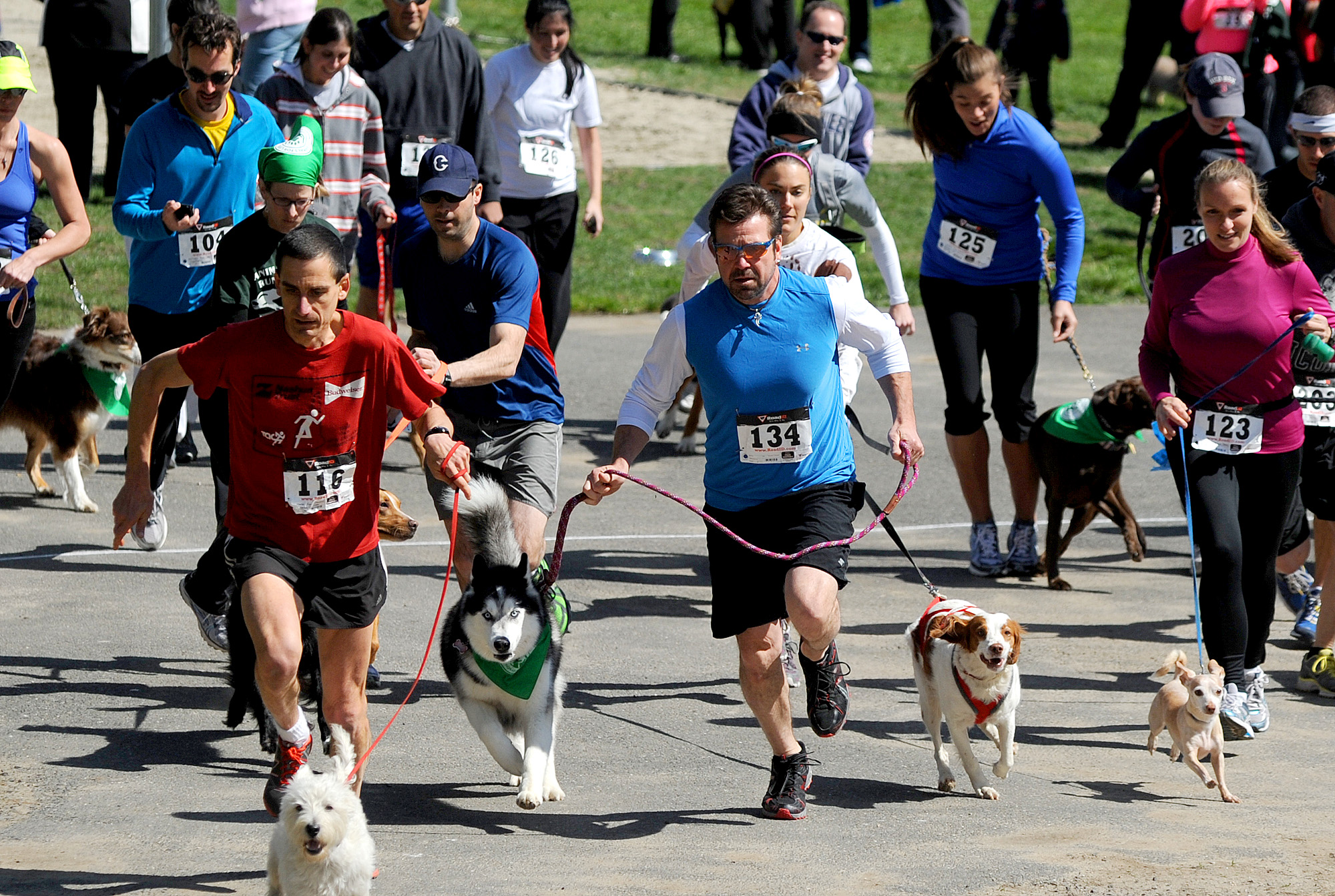 New Mutt Mud Run event announced by Laredo Animal Care Services