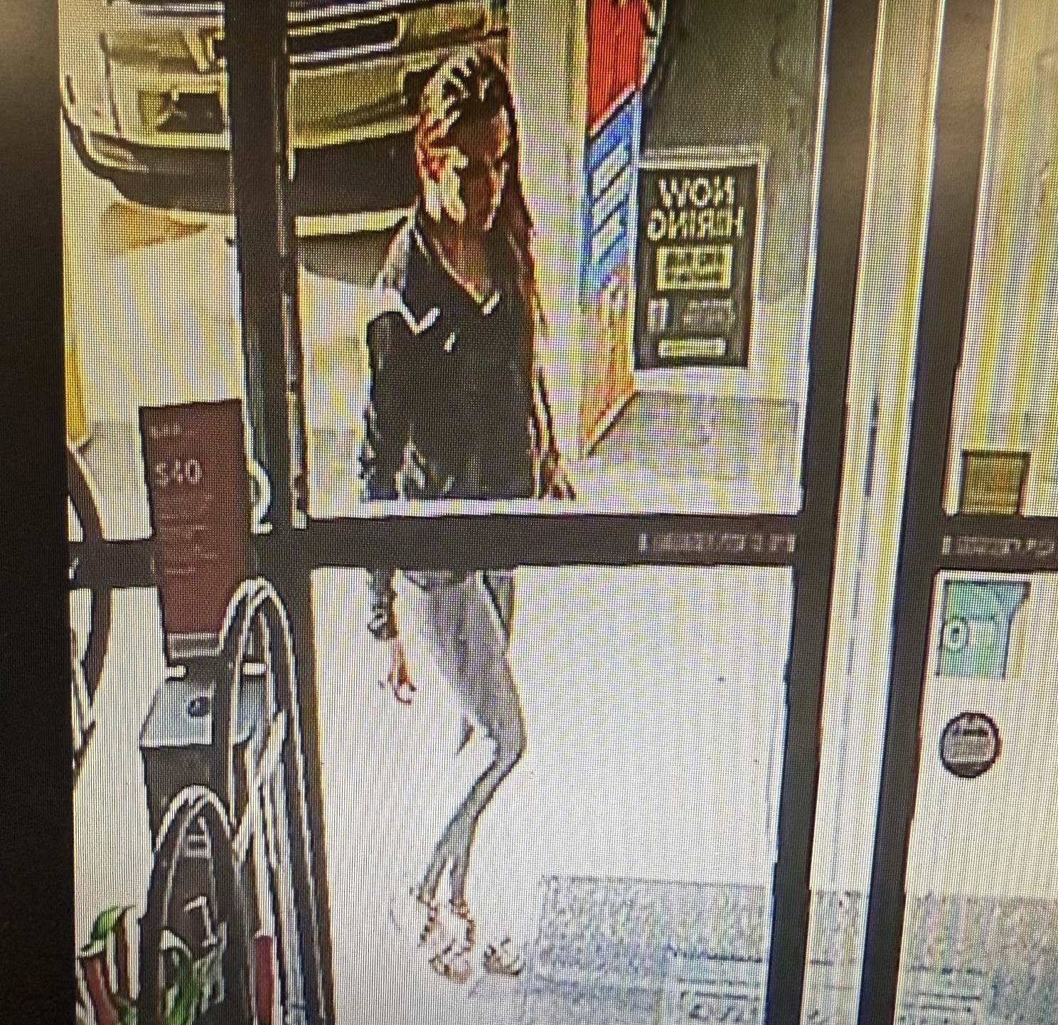 Woman sought in alleged theft at Rodney Michigan Dollar General