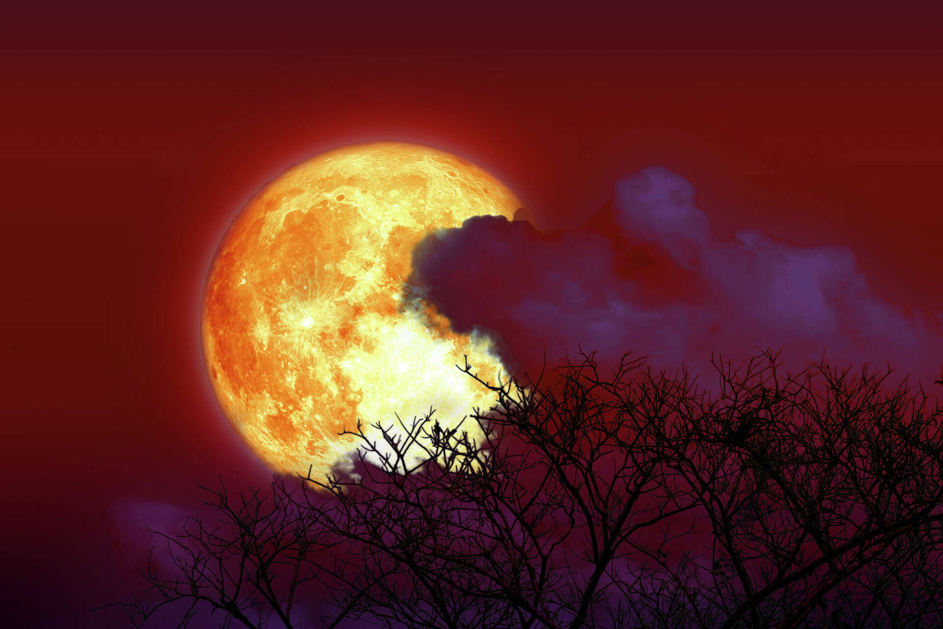 Here's when the rare 2025 strawberry moon peaks tonight