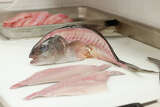 Nopa Fish, from S.F.'s famed Nopa, arrives at the Ferry Building.