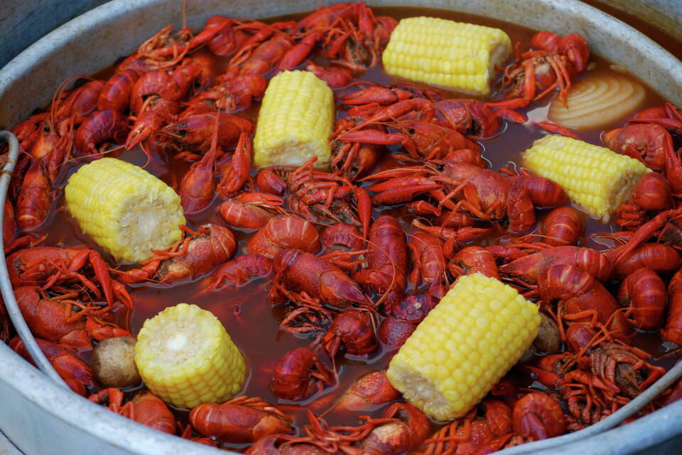 Crawfish season extended after record-breaking 2025 harvest