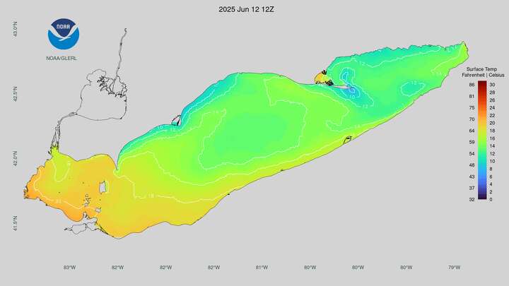 Mayfly hatch begins across southern Michigan lakes as water warms