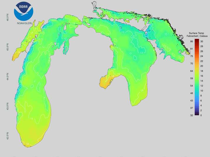 Mayfly hatch begins across southern Michigan lakes as water warms