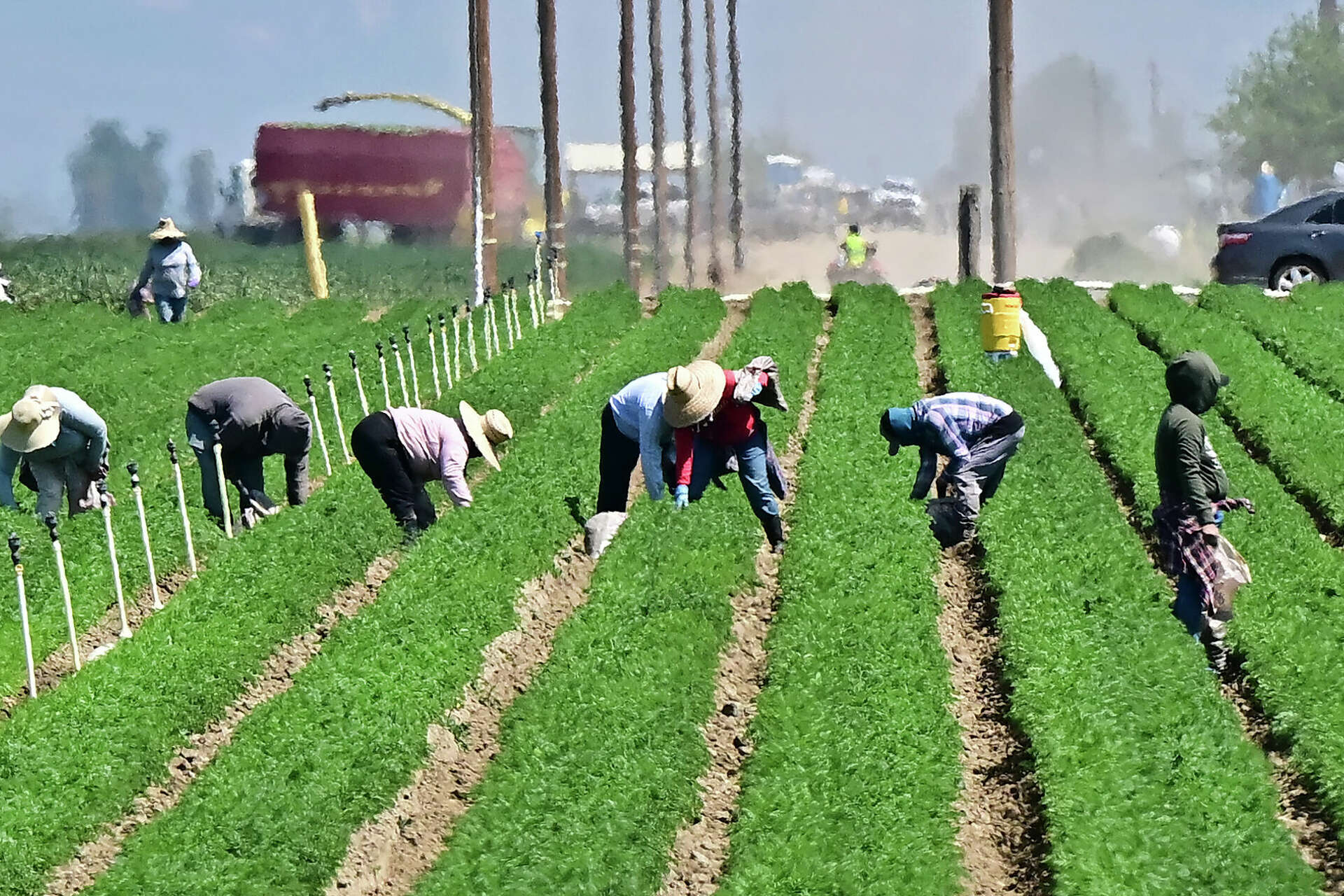 Fear of ICE raids spreads among California’s farmworkers