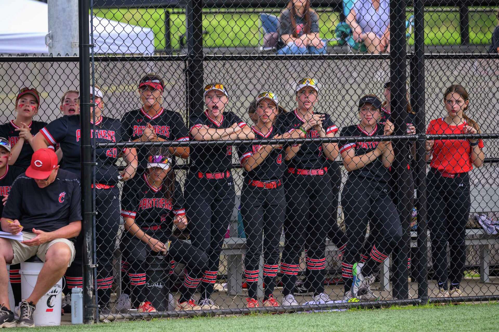 Chatham softball advances to Class B state final