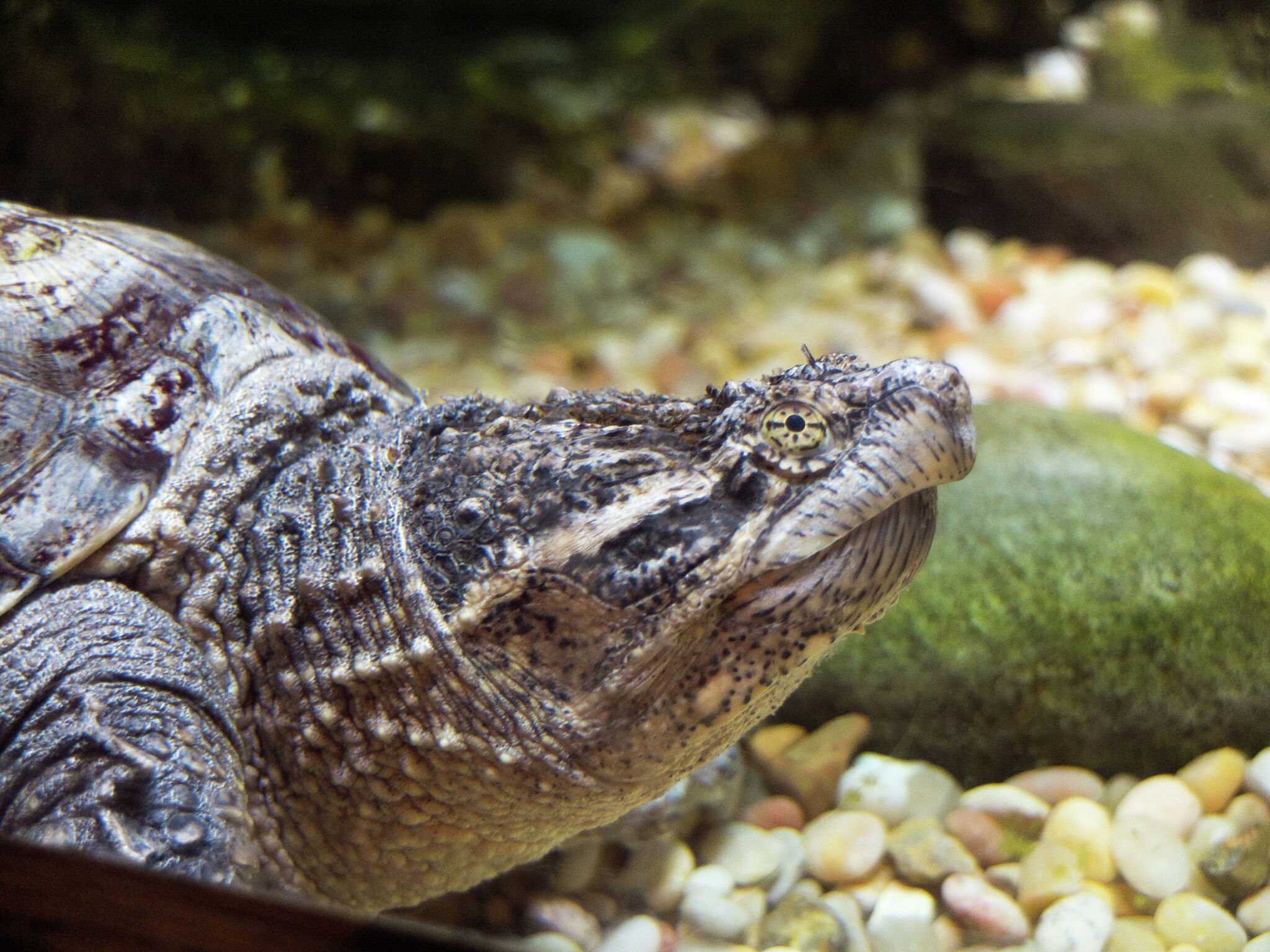 Localizan a joven piloto desaparecida tras accidente en vuelo de ...