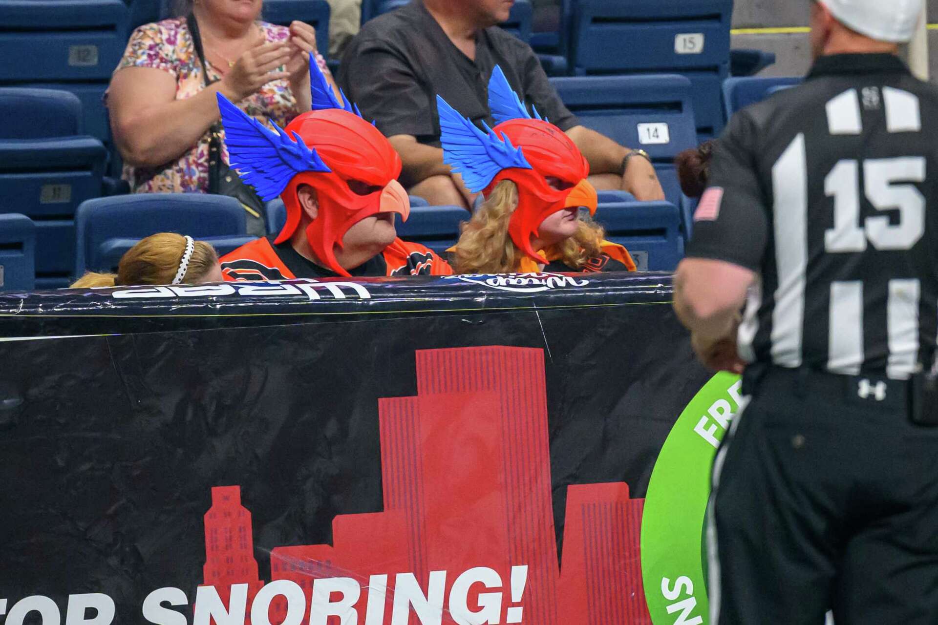Albany Firebirds complete undefeated Arena Football One regular season