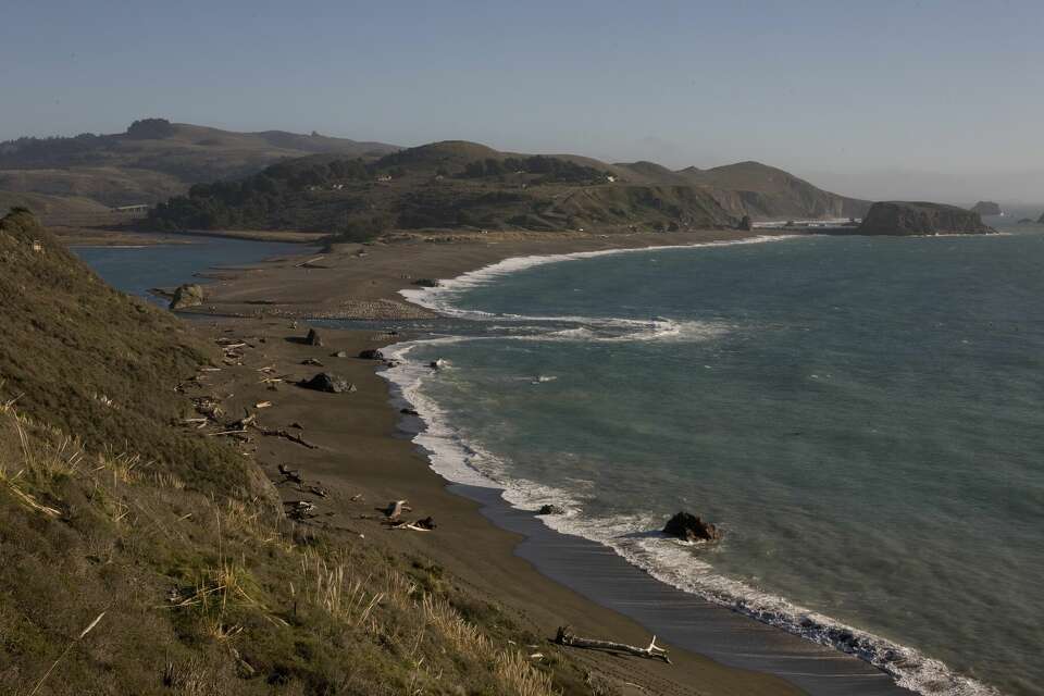 'Really active period': Bear sightings are on the rise in the Bay Area
