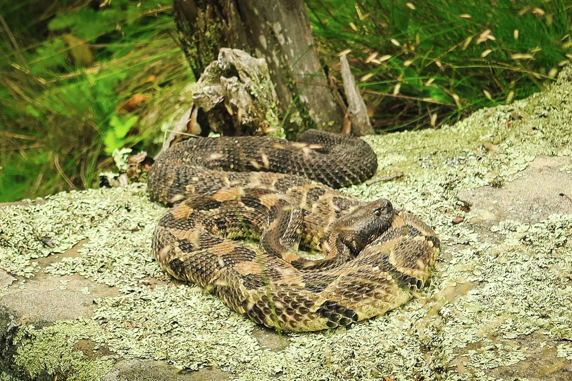 Summer hiking safety tips for upstate New York