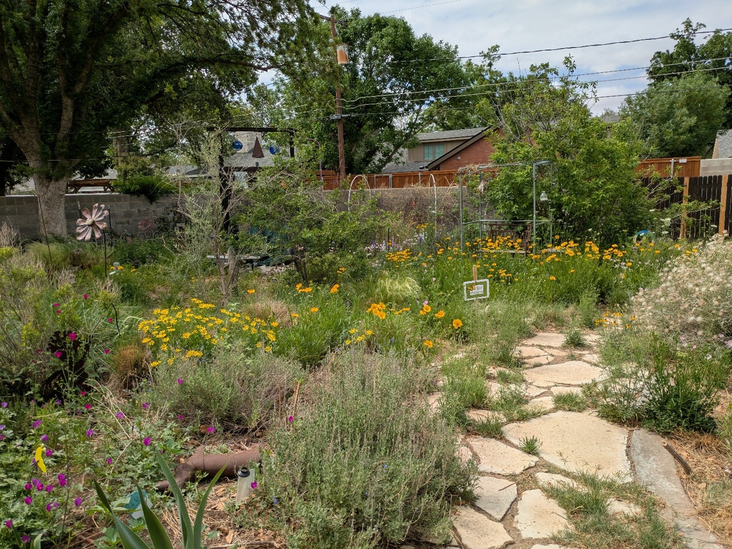 ExxonMobil celebrates Pioneer merger with new tech, community impact