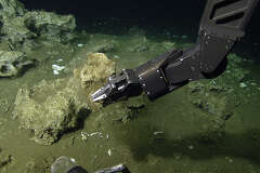 Methane-eating sea spiders discovered off Southern California coast