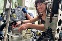 Methane-eating sea spiders discovered off Southern California coast