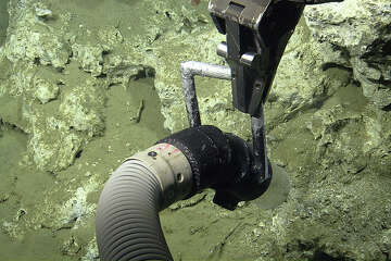 Methane-eating sea spiders discovered off Southern California coast