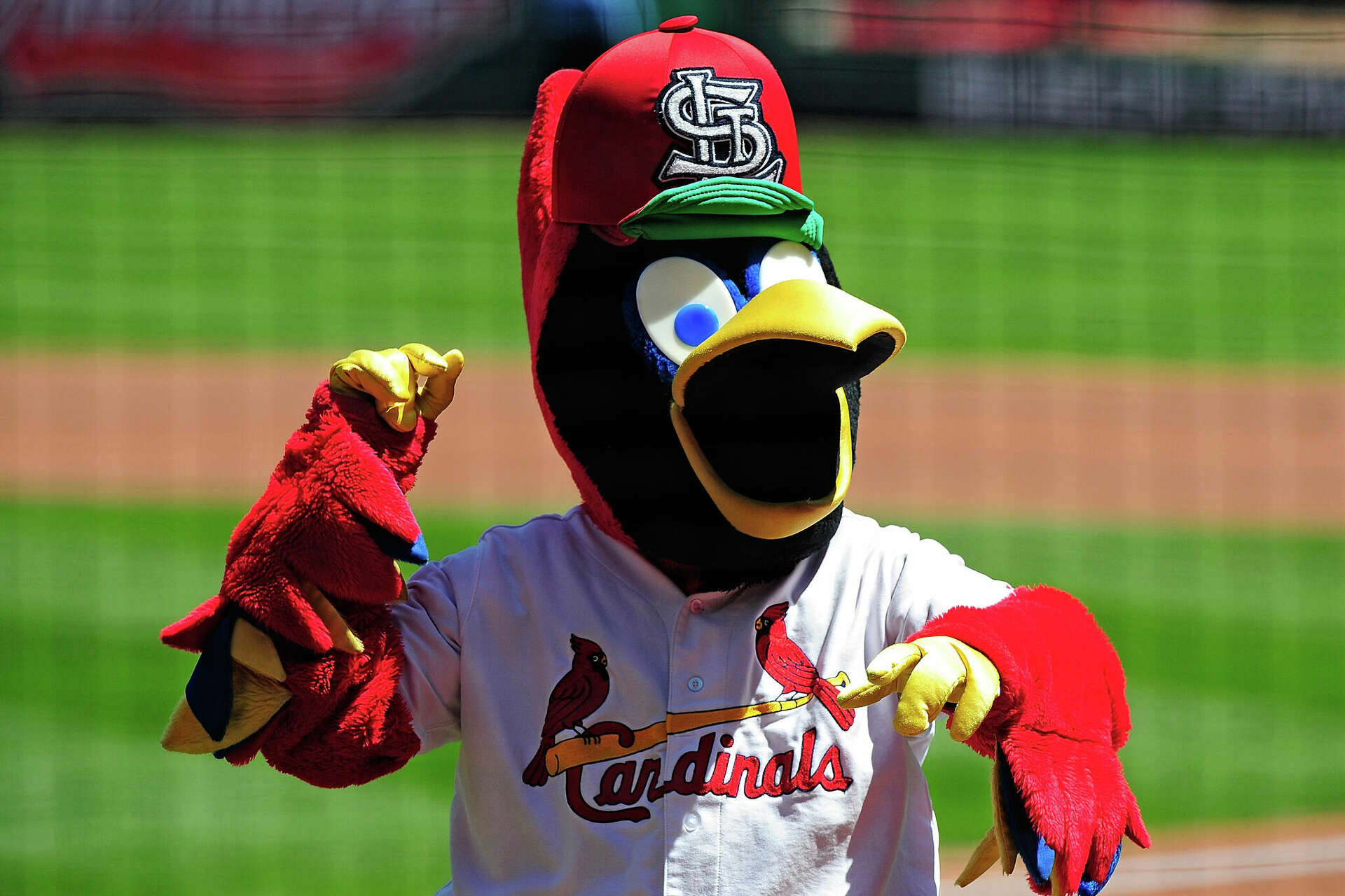 St. Louis Cardinals’ Fredbird elected to Mascot Hall of Fame