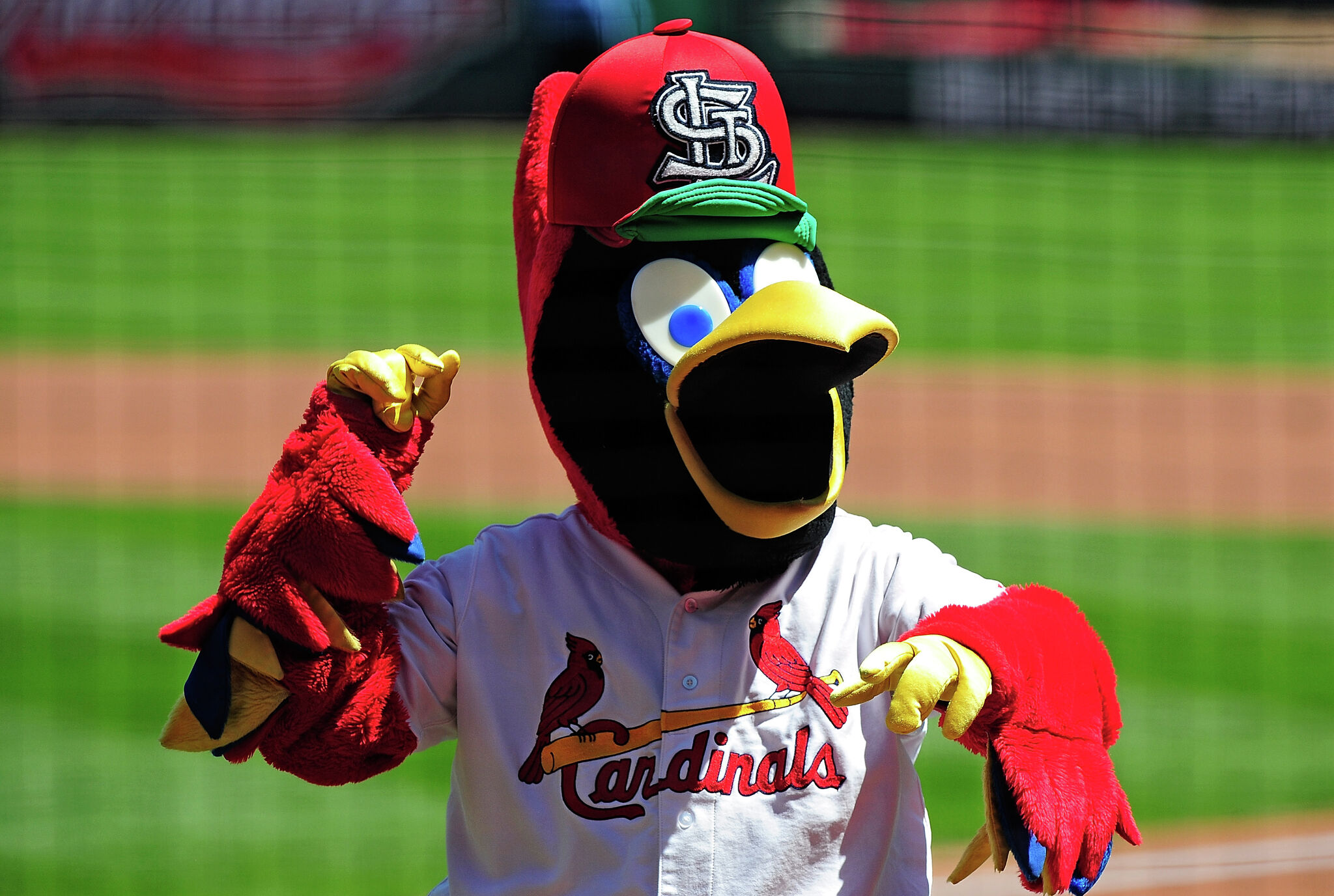 St. Louis Cardinals’ Fredbird elected to Mascot Hall of Fame