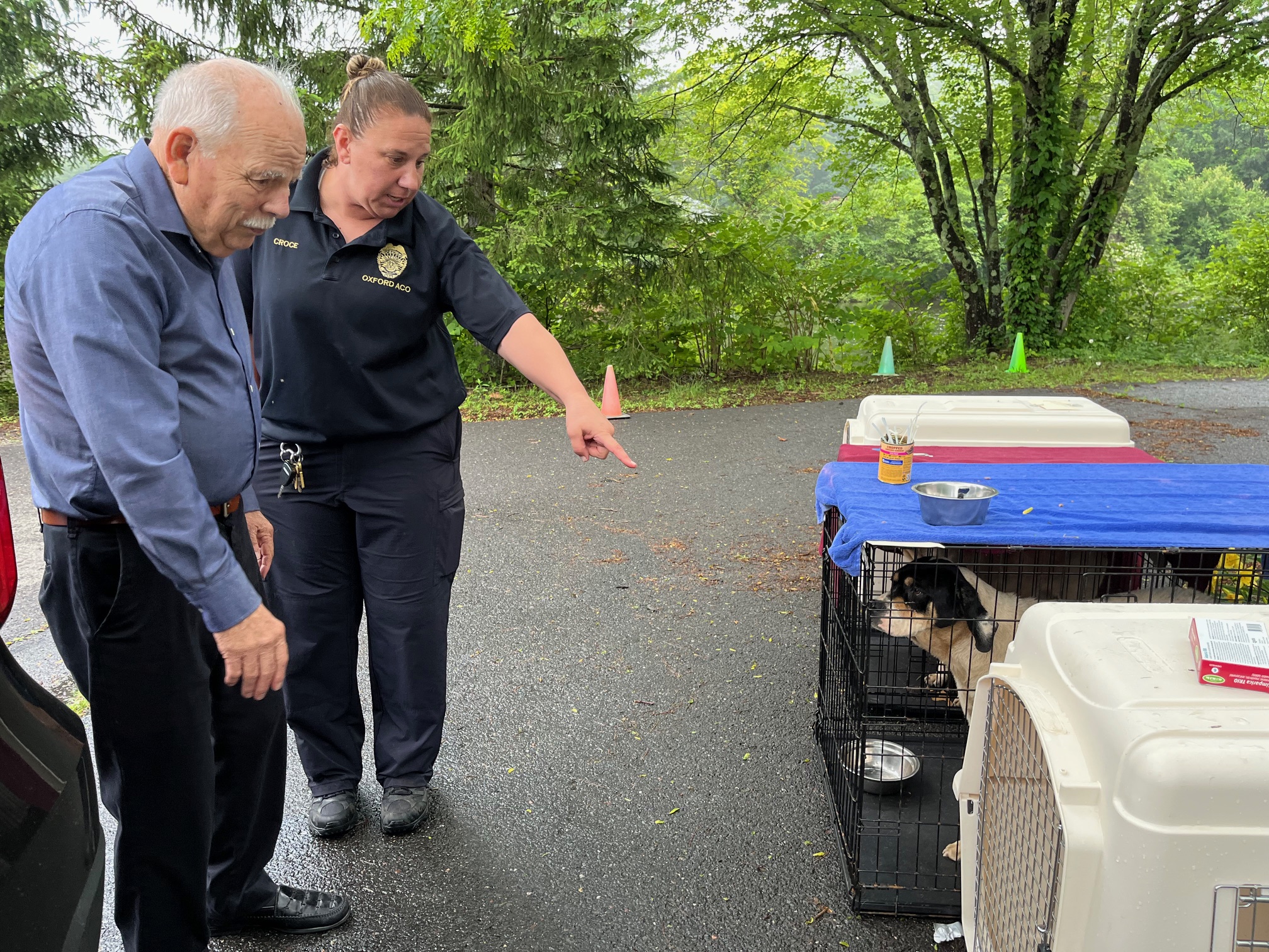 Oxford seeks custody of nearly two-dozen dogs seized in cruelty case