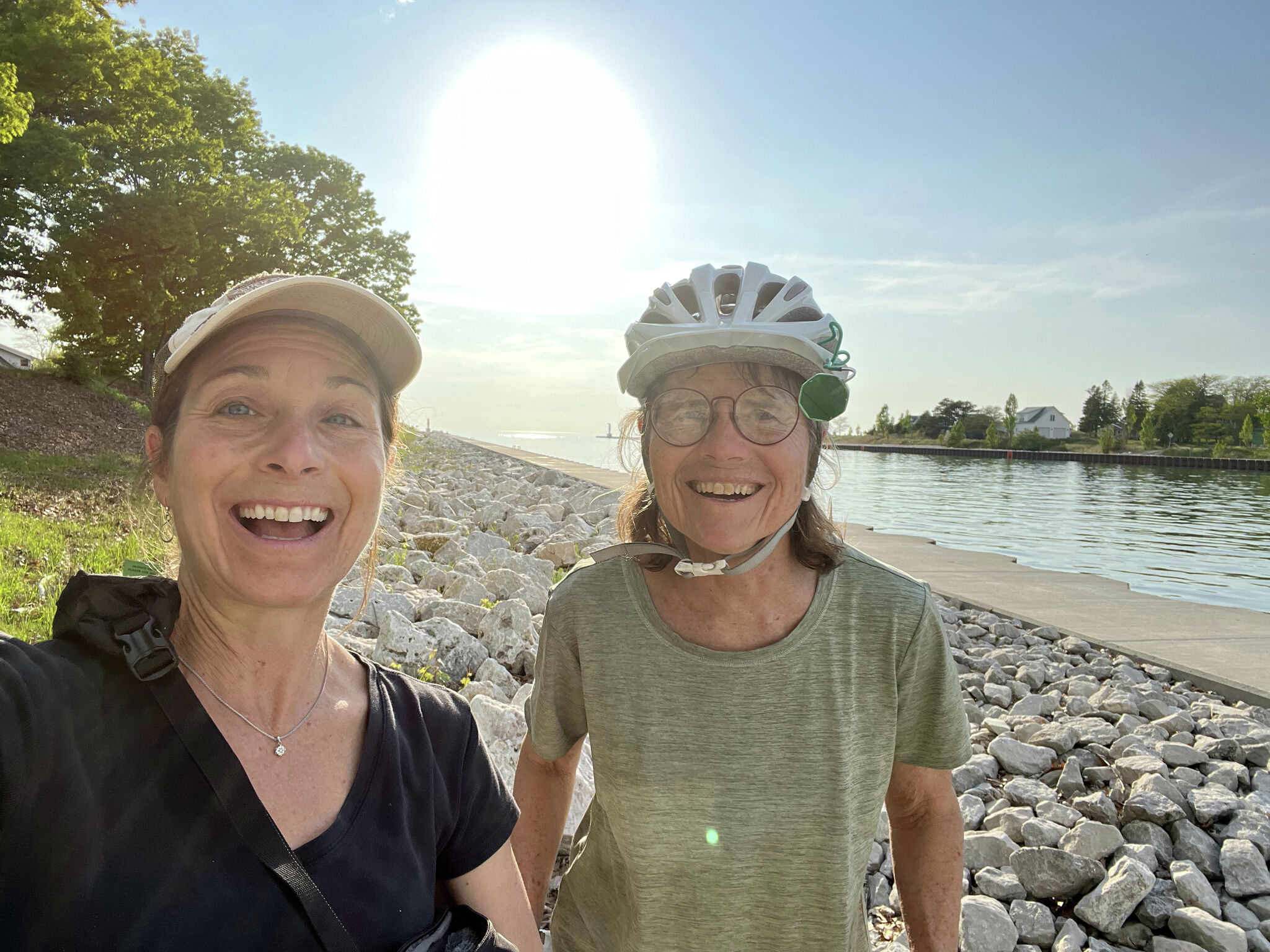 DNR: What's being done to save Michigan's bats