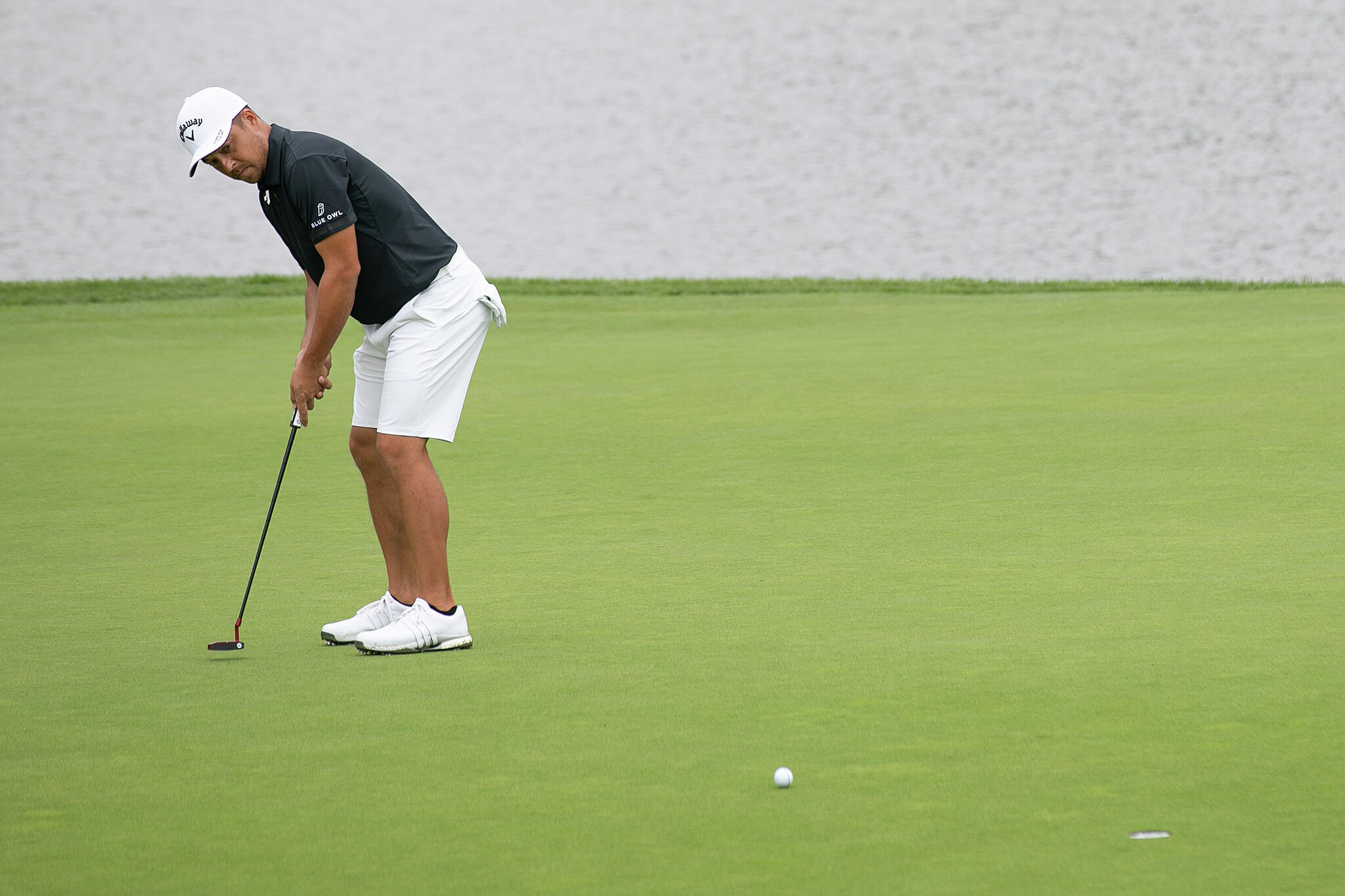 Torrington’s Tracey Thurman Motuzick honored as ‘survivor and crusader’