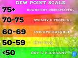 Dew point vs. relative humidity: What’s the difference?