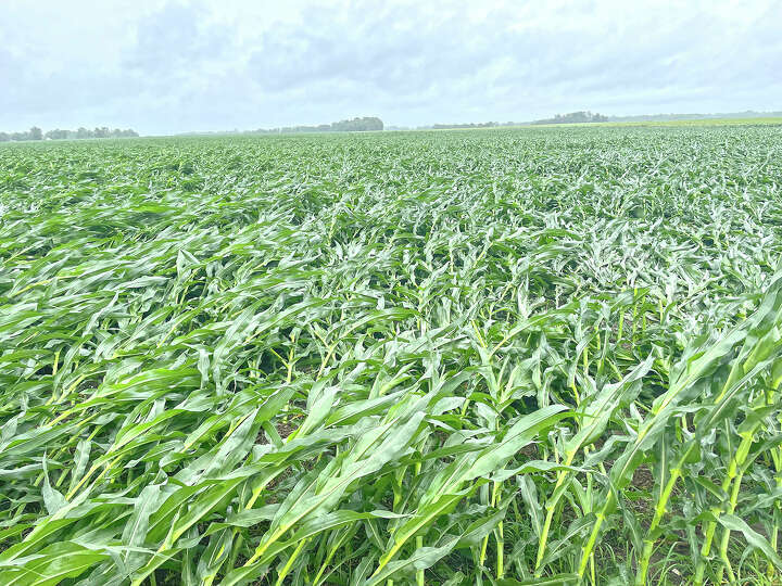 Jacksonville tornadoes confirmed, EF1 twister causes damage